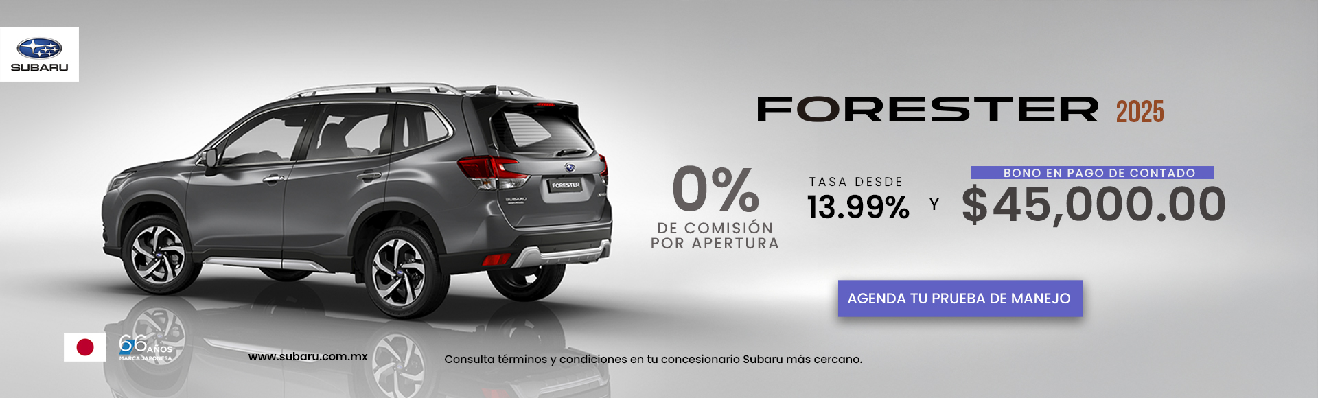 Distribuidor Autorizado, Subaru Veracruz